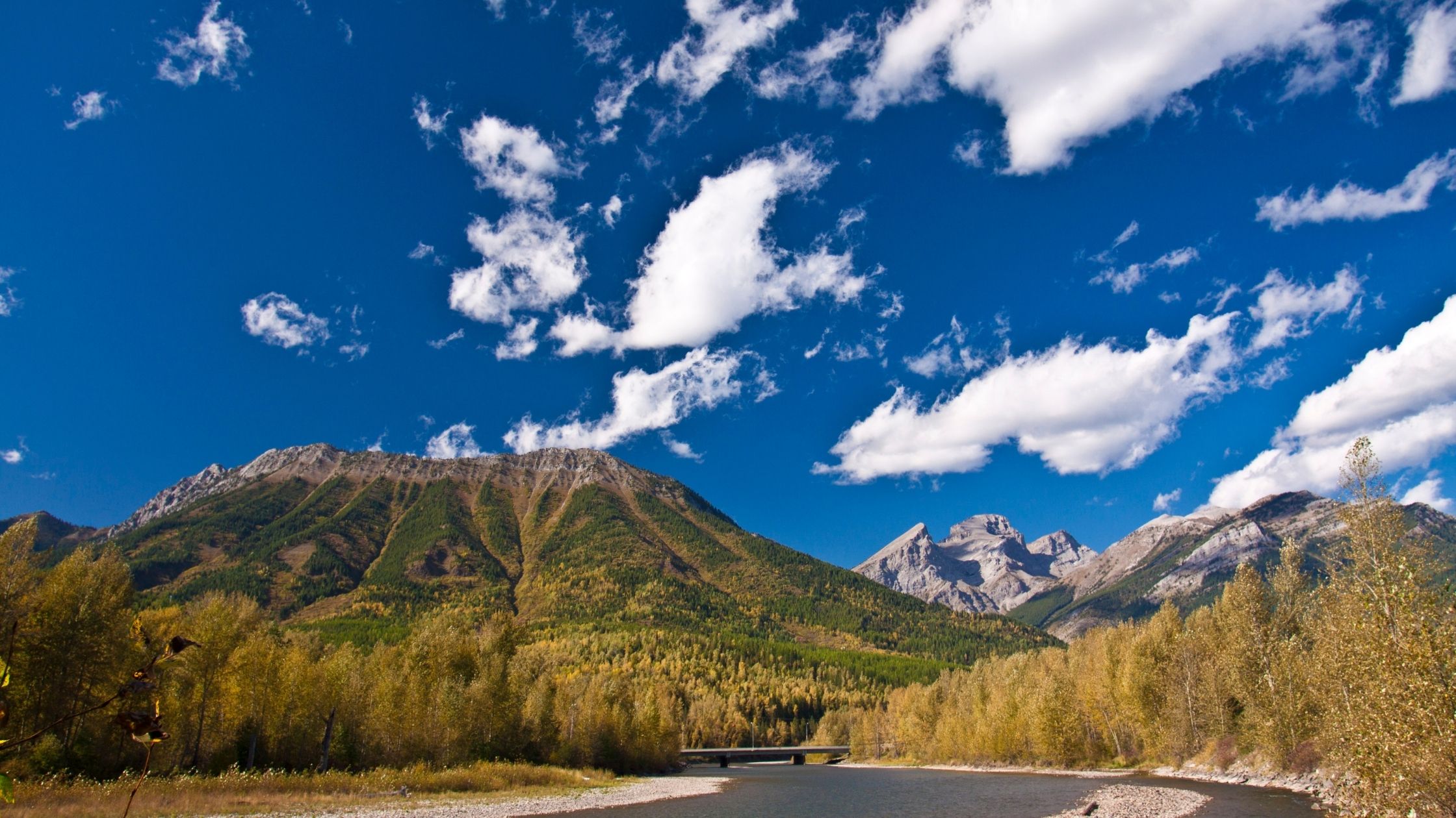 Fall in Fernie - Fernie Fox